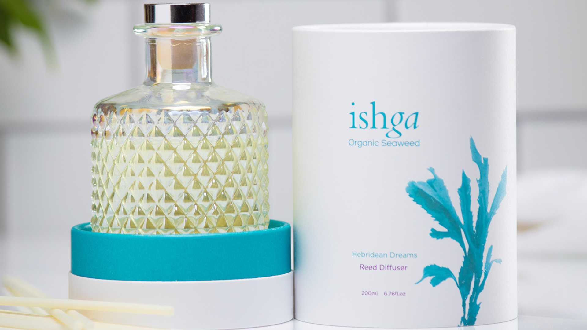The Power of Fragrance: How Aroma Transforms Mind, Body, and Home ...